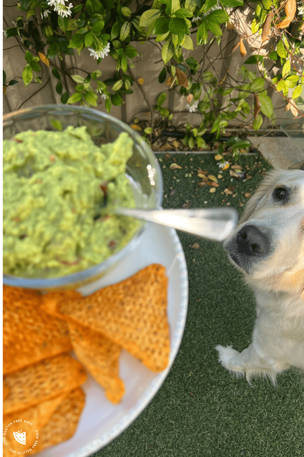 Kid Friendly Guacamole - Easy, 4 Ingredient Fresh Guacamole