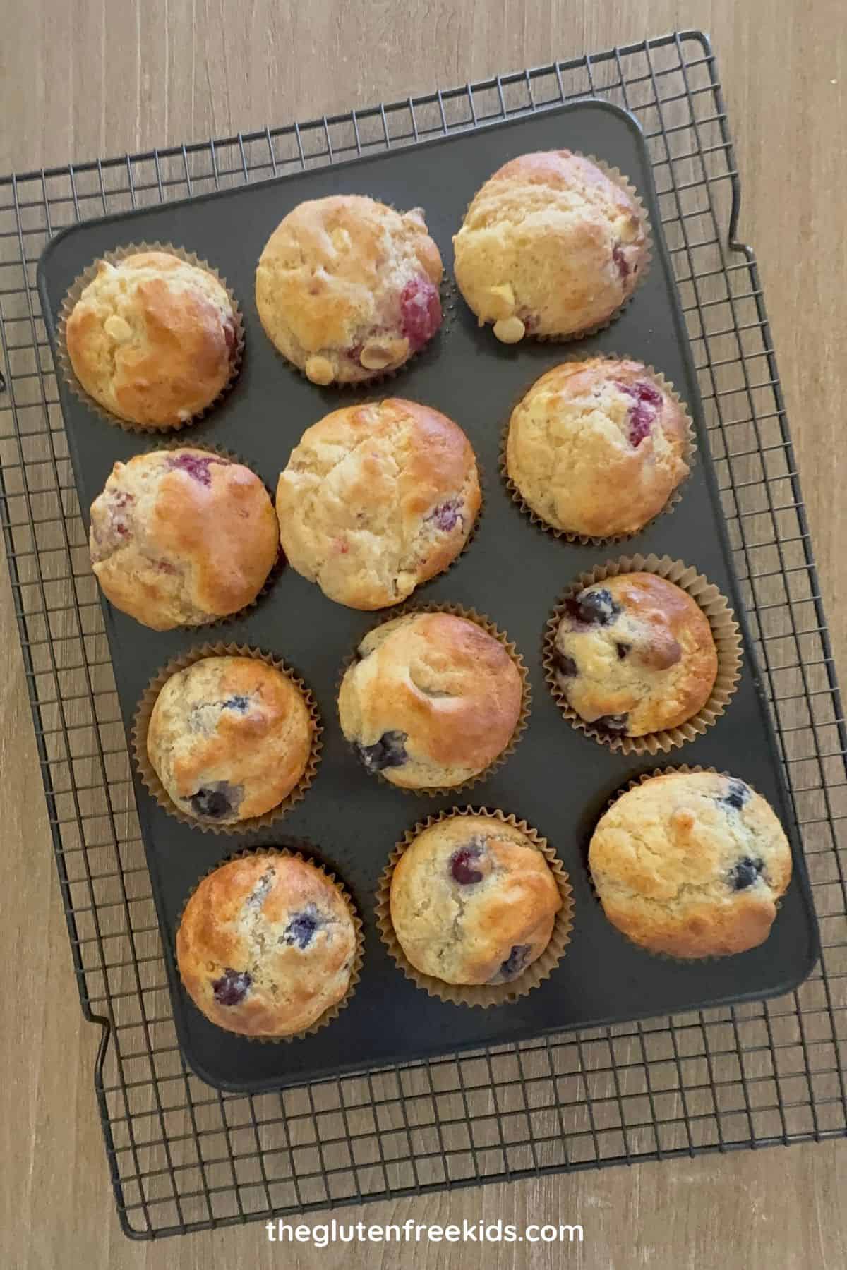 Gluten-Free Muffin Recipe (One Base, Endless Flavours)